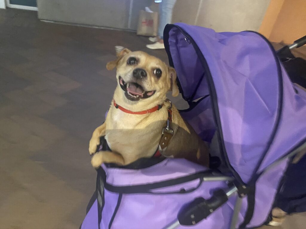 開発者のChadd Nervig氏がコミュニテイの質問に回答 | BeerBrick Hearthstone